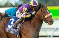 Cherie DeVaux - Trainer