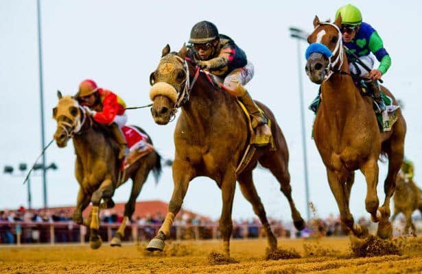 Charles Town Classic 2019: Post positions and odds