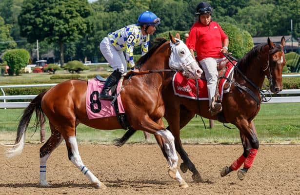 Southern Phantom aims to break his maiden for new barn at Oaklawn