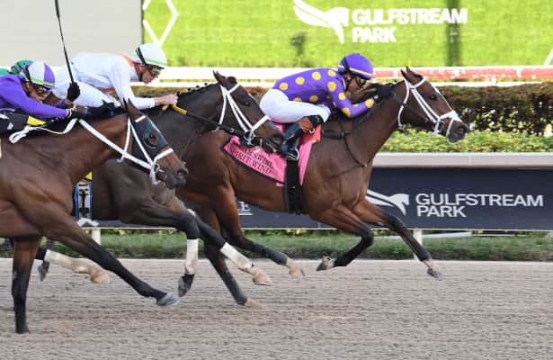 Spirit Wind comes back running in Sugar Swirl at Gulfstream