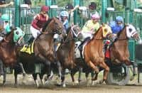 Mr. Prospector - Horse