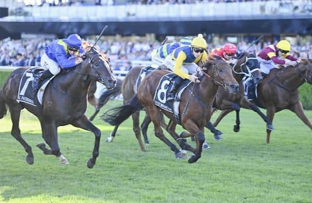Australia: Matt Damon brings star power to The Championships