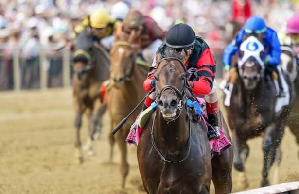 These stakes winners had last week's highest speed figures
