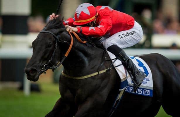 Shadwell Turf Mile 2019: Odds and analysis for Saturday's race