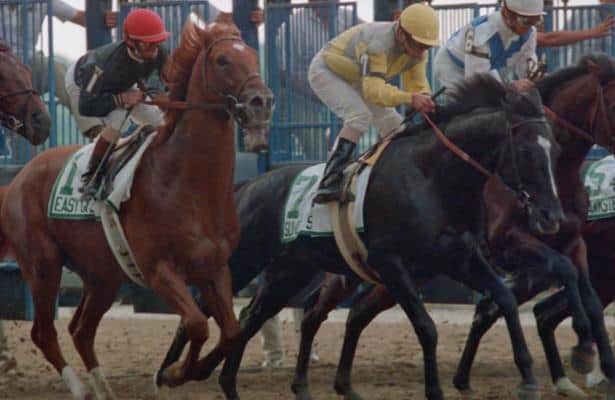 NBC's 'Dark Horses' doc revisits Easy Goer vs. Sunday Silence