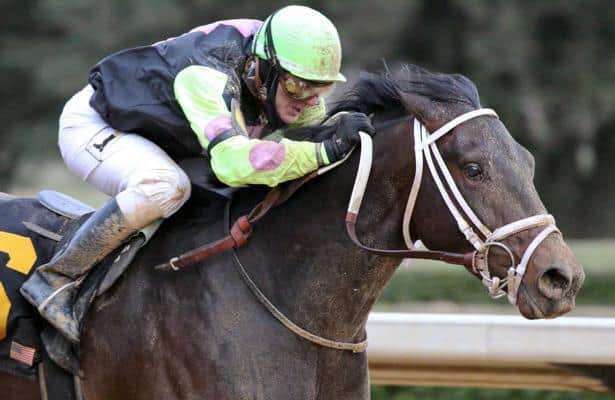 Amid hot streak, Jones maintains high goals for Super Steed