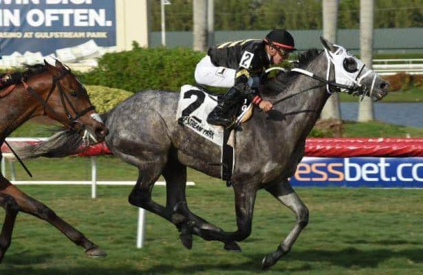 Susie Bee 3-1 favorite in competitive Ellis Park Turf Stakes