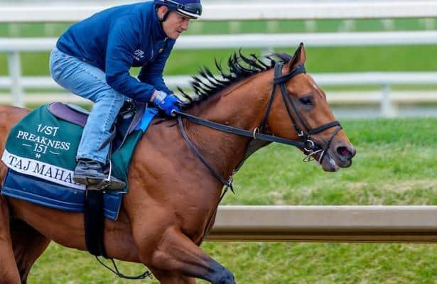 Preakness 2026: Russell stays on course with unbeaten Taj Mahal