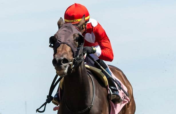 Fastest maidens: Tam Tam's 129 at Gulfstream tops new winners