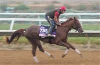 Cherie DeVaux - Trainer