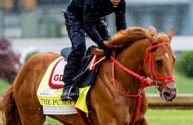 The Puma returns to Gulfstream Park to train for Haskell