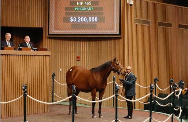 Keeneland sale: Nitrogen dam Tiffany Case sells for $3.2 million
