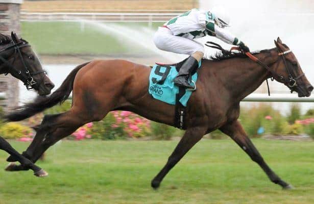Tiger Ride and Courtier star in big turf day at Indiana Grand
