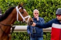 Todd Pletcher - Trainer