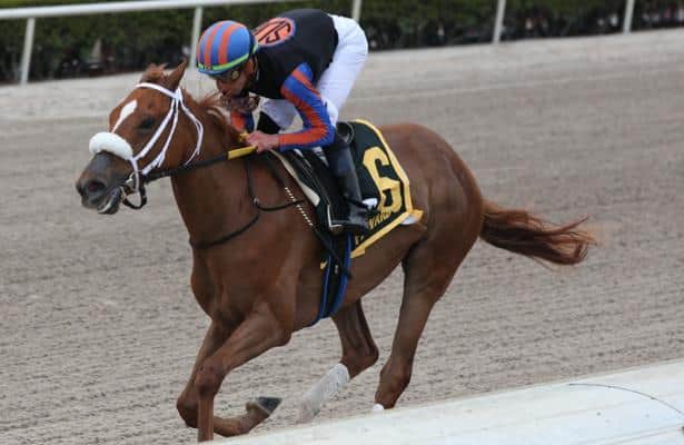 Tonalist’s Shape targets a rare sweep in Gulfstream Park Oaks