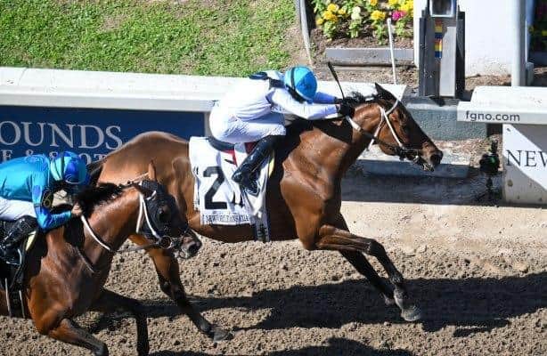 Tuesday works: Touchuponastar leads graded winners on tab