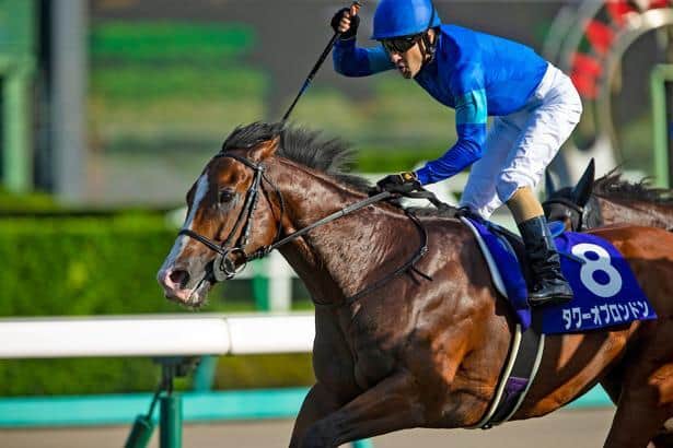Tower of London wins Japan's Sprinters Stakes for Breeders' Cup berth