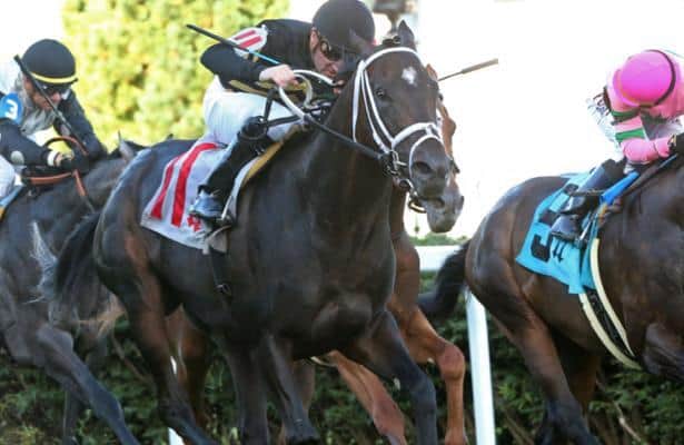 Calumet Farms duo leads renewed Virginia Derby field of nine