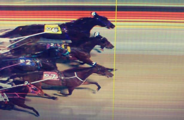 Hawthorne photographer gives new perspective to triple dead heat