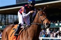 Wesley Ward - Trainer