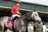 Wesley Ward - Trainer