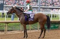 Cherie DeVaux - Trainer