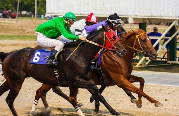 Thoroughbreds Steal the Show at the Van Wert County Fair