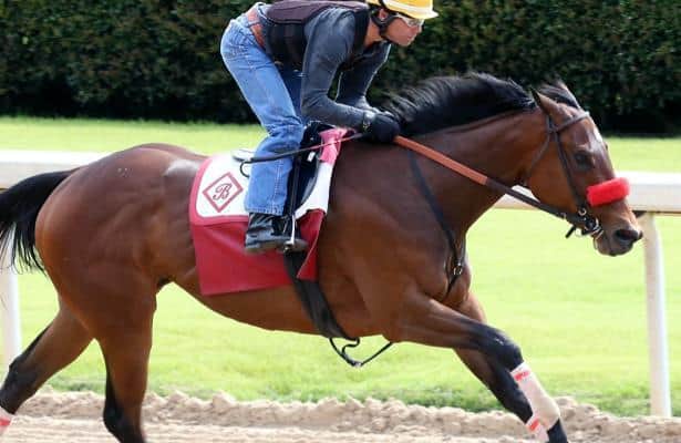 Full field likely for Oaklawn's Fantasy Stakes; see the probables