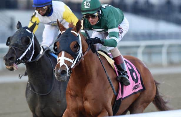 Vino Rosso 'sharp' in comeback, winning Aqueduct's Stymie