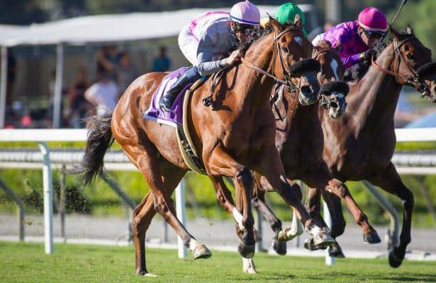 Vyjack rumbles past Om and Obviously in City of Hope Mile