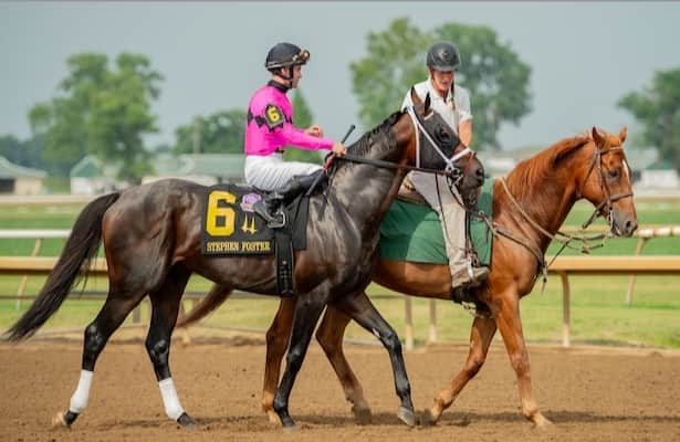 Report: West Will Power will stand at farm in South Korea