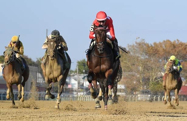 Xigera leads field of 9 in Falls City on Thanksgiving day