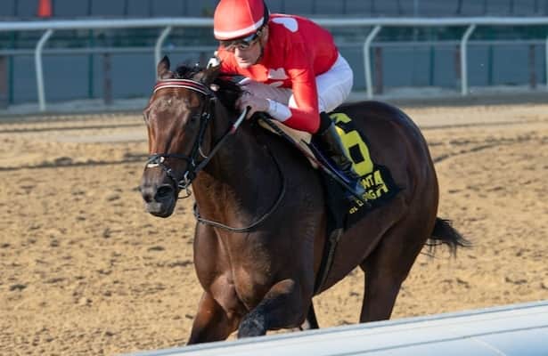 Thursday tab: Xigera has final drill for Thursday's Falls City