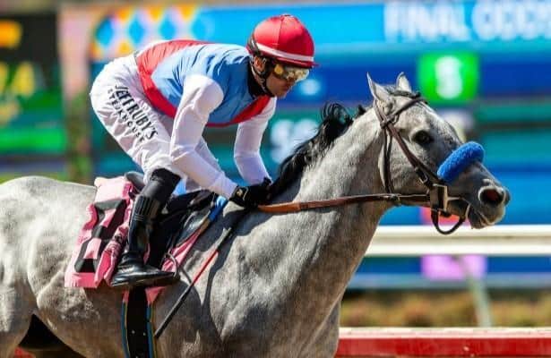 2-year-olds get spotlight in Del Mar Futurity & Juvenile Turf