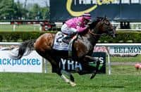 Chad Brown - Trainer
