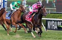 Seattle Slew - Horse