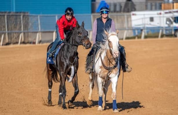 Trainer Chelsey Moysey prepares stakes horses for Oaklawn