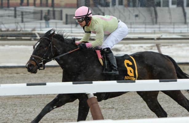 Condo Commando Romps in Busher