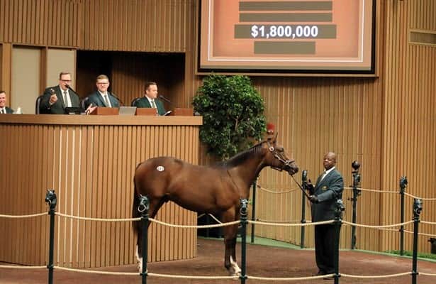 $1.8 million Constitution colt tops brisk trade at Keeneland sale