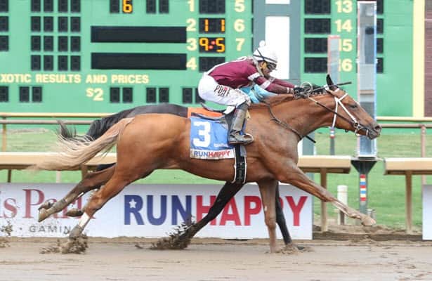 Costa Terra another winner for Gun Runner; stakes try looms