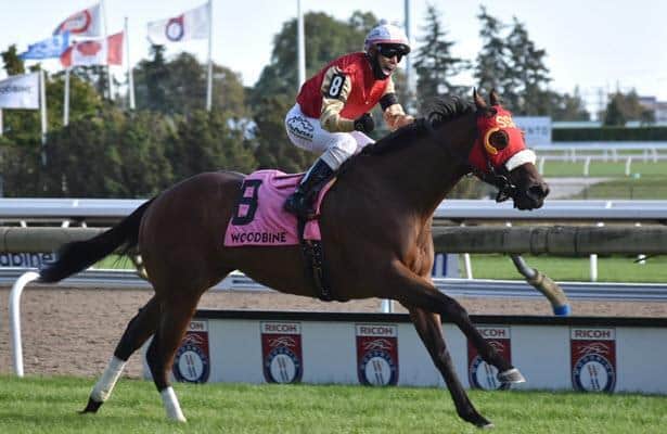 Count Again takes overland route to win Woodbine's Singspiel