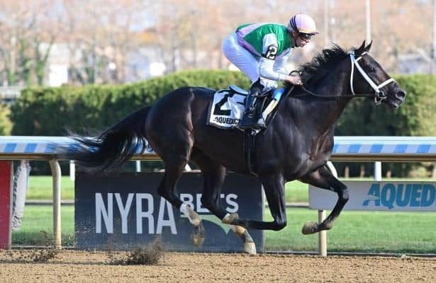 Pegasus World Cup: Odds, analysis for Gulfstream feature