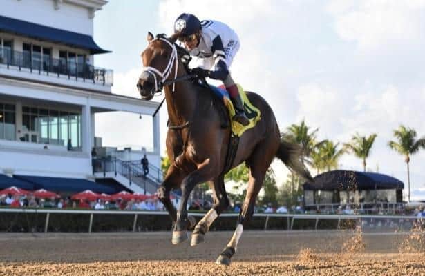 After Gulfstream win, Five G may target Apple Blossom