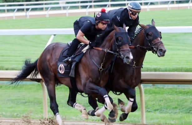 Belmont 2026: Watch Golden Tempo's final prep breeze