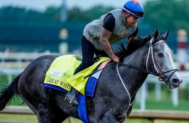 Preakness 2026: Great White will go if he works well Saturday