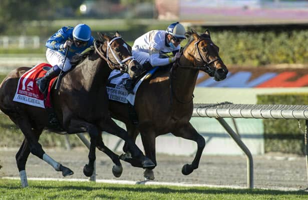 Hit the Road hits the big time with Grade 1 Kilroe score