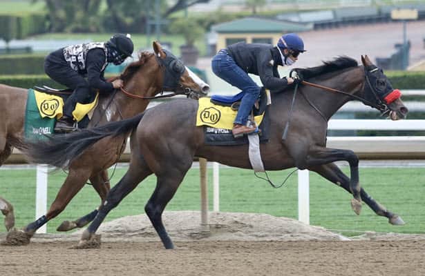 Shedding blinkers a 'chancy thing' for Hot Rod Charlie in Haskell