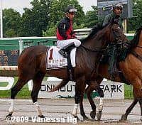 Princess Haya - Horse