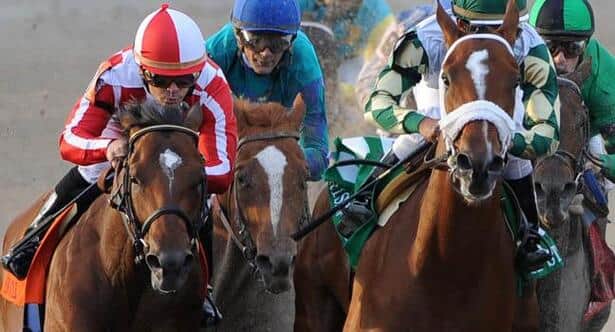 Mucho Macho Man is the Big Easy