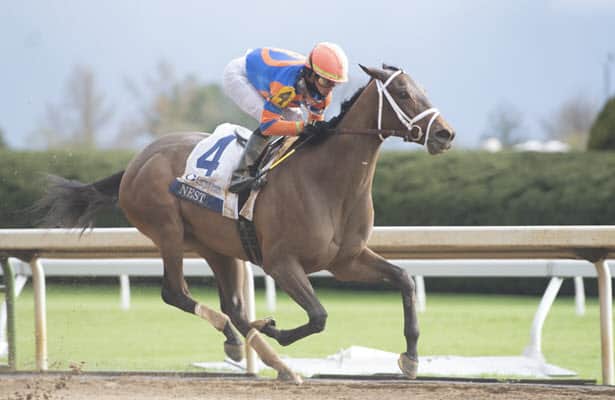 Belmont Stakes: Pletcher says Nest is a filly who is bred to win